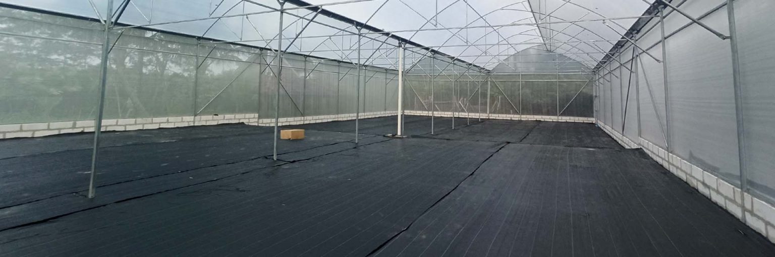 Greenhouse – AGROPEDIA NUSANTARA